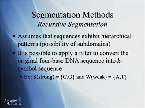 Ppt Dna Segmentation Powerpoint Presentation Free Download Id2966812