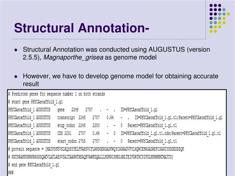Ppt Genome Annotation Powerpoint Presentation Free Download Id4776252