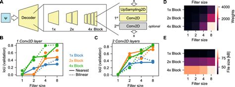 Lean Decoders Are Sufficient For Glottis Reconstruction From A Single
