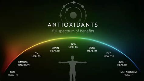 Prysm Io Augustvitality