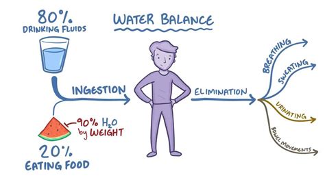 Hypertonic Dehydration What Is It Causes Treatment And More Osmosis Hypertonic Dehydration What Is It Causes Treatment And More Osmosis