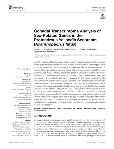 Pdf Gonadal Transcriptome Analysis Of Sex Related Genes In The