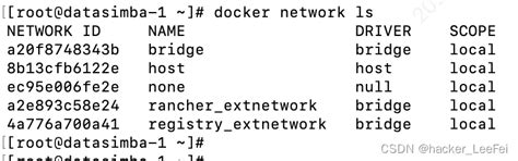 docker内无法通过域名访问外网问题解决方案一 docker容器内部访问不了外部域名 csdn博客