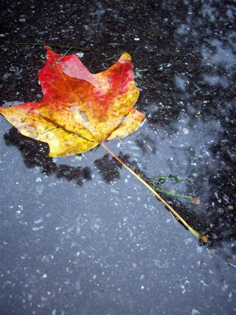 Value Element Photography