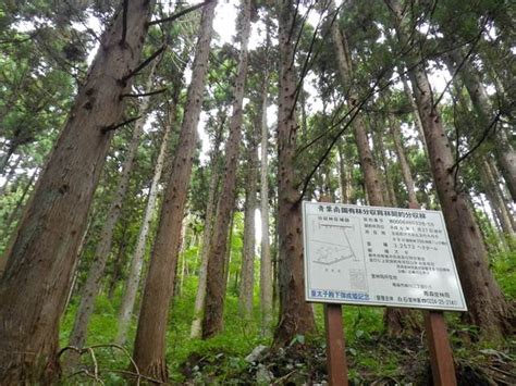仙台森林管理署506に2東北森林管理局