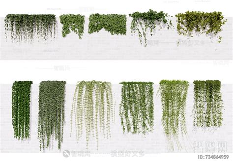 Modern Vine Sketchup Model Download Model Id 734864959 1miba