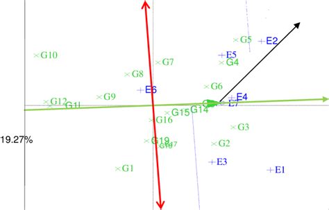 polygon view of the gge biplot using symmetrical scaling of 19 bread