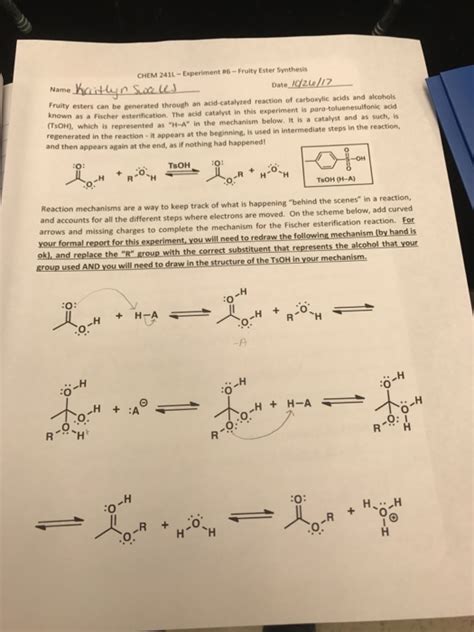 Solved Chem 2411 Experiment 6 Fruity Ester Synthesis Date