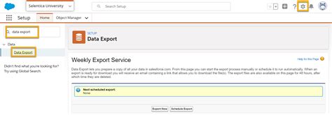 Salesforce Data Backup Elements