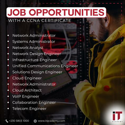 It Academy Job Opportunities With A Ccna Certificate