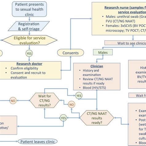 Algorithm For The Management Of Vaginal Discharge In Pregnancy