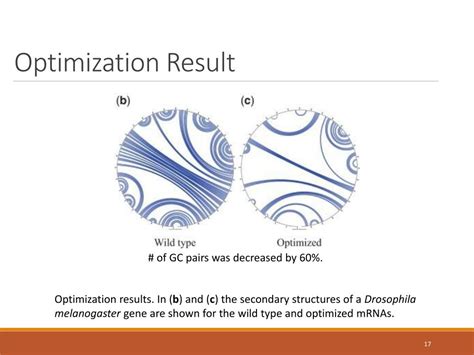 Ppt Mrna Secondary Structure Optimization Using A Correlated Stem