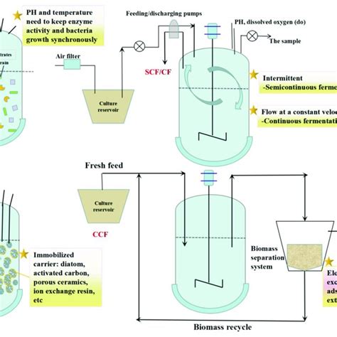 Fermentation Modes For L La Production Download Scientific Diagram