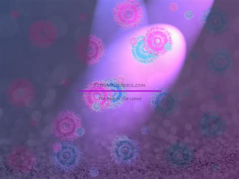 Haseeb Syed Portfolio