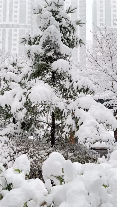 올리브어린이집 Olive Soop 부천숲어린이집 부천숲유치원 Olivesoop • Instagram Photos And Videos