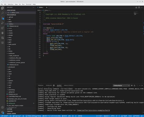 Gentoo Raspberry Pi Pico Sdk Vscodium Getting It All Working Scotts Blog