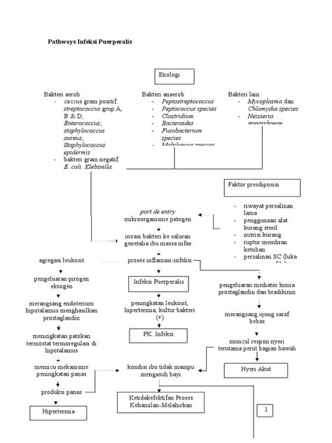 Pathways Infeksi Puerperalis Pdf