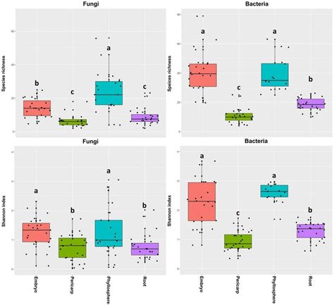 Sunburst Plot Showing The Most Abundant Fungal A And Bacterial B