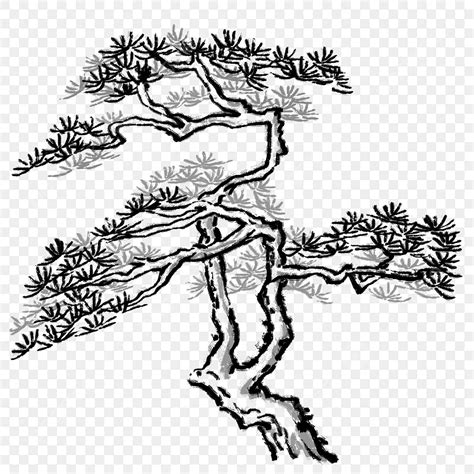 소나무 일러스트 소나무 나무 사진 재료 Png 일러스트 및 Psd 이미지 무료 다운로드 Pngtree