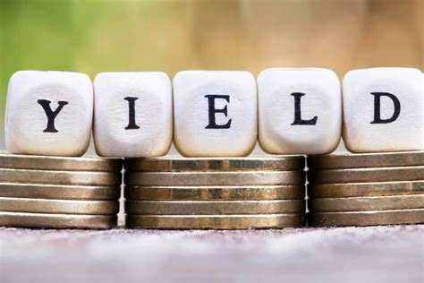 Apa Itu Yield To Maturity Ytm Investbro
