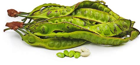 Yongchak Information Recipes And Facts