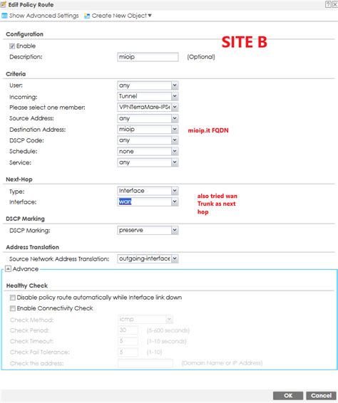 Routing Internet Traffic Only Specific Domains Through Double Snatted