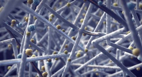 Capture Methods Air Filtration Technology Purex International Ltd