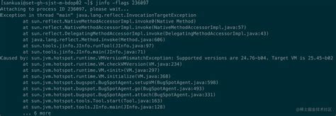 GC优化 老年代使用率过高Full GC之后老年代使用率仍大于 log j 导致内存泄露等问题排查对于 GC 掘金