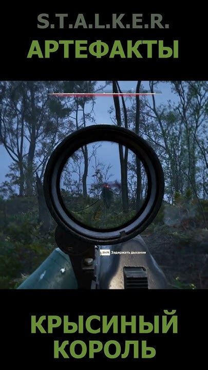 S T A L K E R 2 Артефакт Крысиный Король Youtube