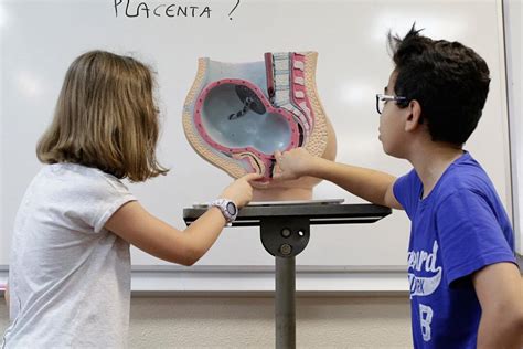 Comment faire l éducation sexuelle des enfants Ptit Clic