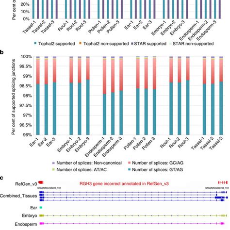 Maize Pacbio Iso Seq Barcoding Library And Comparison Of Isoforms Download Scientific Diagram