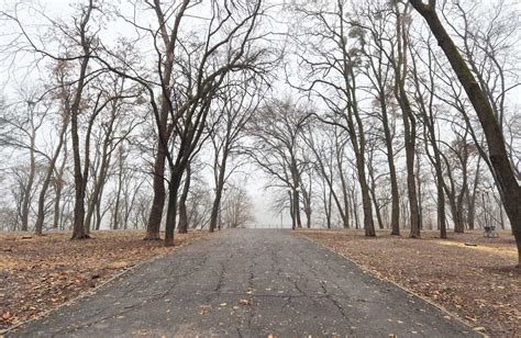 Наступного тижня у Полтаві очікується сніг та нічні морози Полтавщина