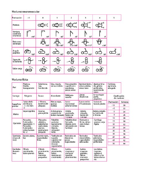 Ballard Pdf