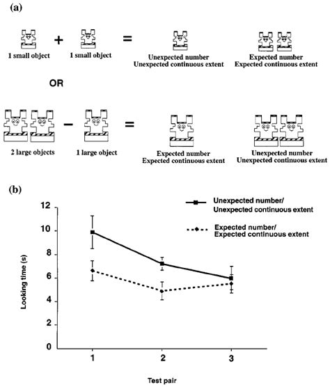 A Displays And B Looking Times For Experiment 6 Array