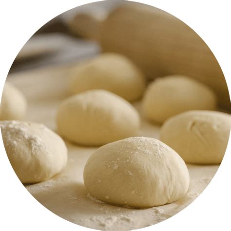 Probiotic Testing Aemtek Laboratories