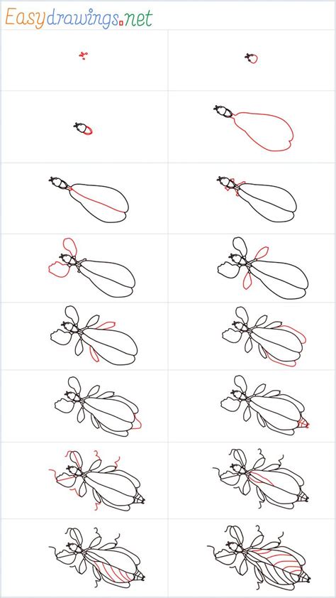 How To Draw A Leaf Bug