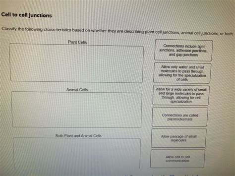 Solved Classify The Following Characteristics Based On