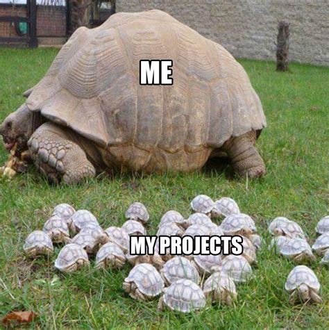 How I Feel Lately With All My New Arduino Purchases Arduino