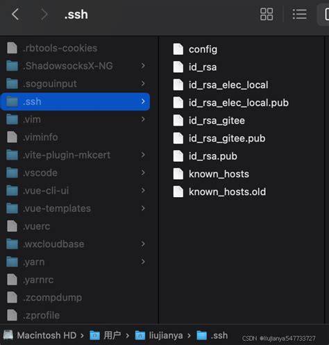 Git之 创建多ssh，适配多个仓库git可以生成多个ssh吗 Csdn博客