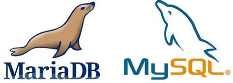centOS中mysql mariaDB一些常用操作命令 mariadb 执行系统命令 CSDN博客