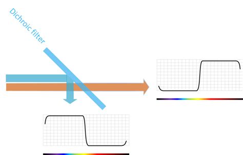 Fluorescence Spectroscopy Principles And Filter Design