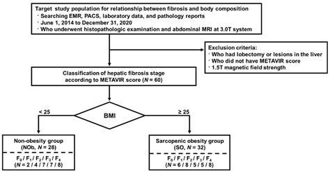 3d Roi Manager Imagej Documentation Wiki