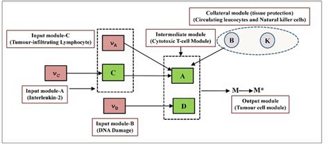 Computational Systems Analysis Of Activation Of Multimodal Entities