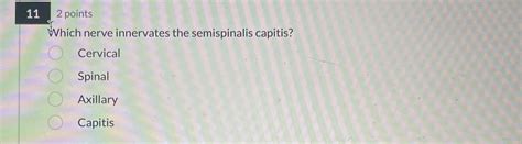 Solved 112 ﻿pointswhich Nerve Innervates The Semispinalis