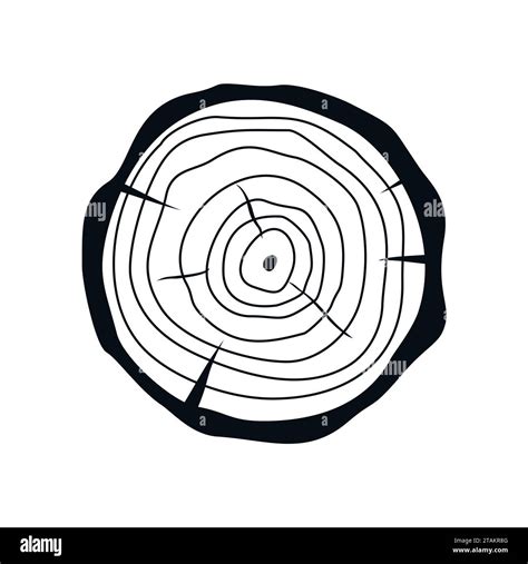 Cross Section Of Tree Stump In Flat Style Isolated On White Background