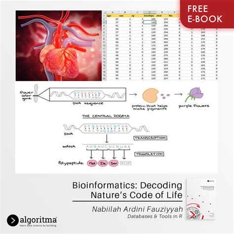 Bioinformatics Decoding Natures Code Algoritma