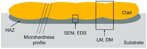Cross Section Of Metallographic Sample Showing The Areas Examined Via Download Scientific