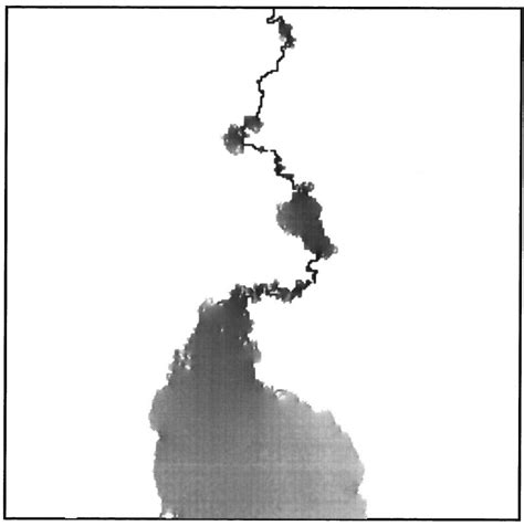 Current Distribution In A Percolating Invasion Cluster With A