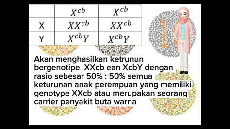 Pola Pola Hereditassex Linked Atau Buta Warna Youtube