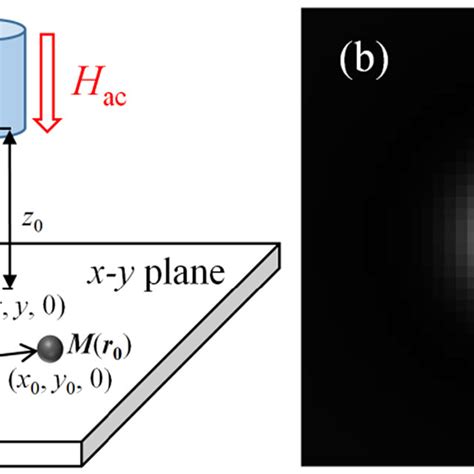 A Schematic Of The Configuration Of A Spot Mnp Sample Pickup Coil